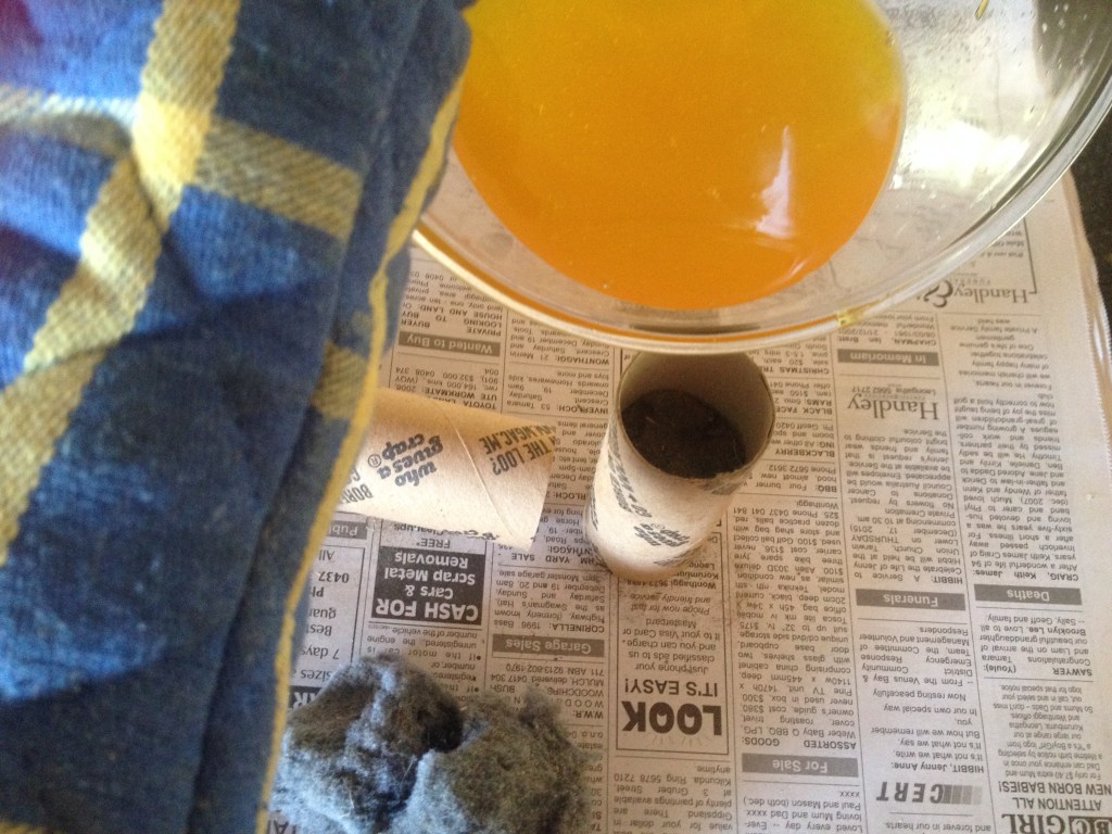 This Discovery Lit My Fire, Literally. DIY Fire Starters – Gippsland ...