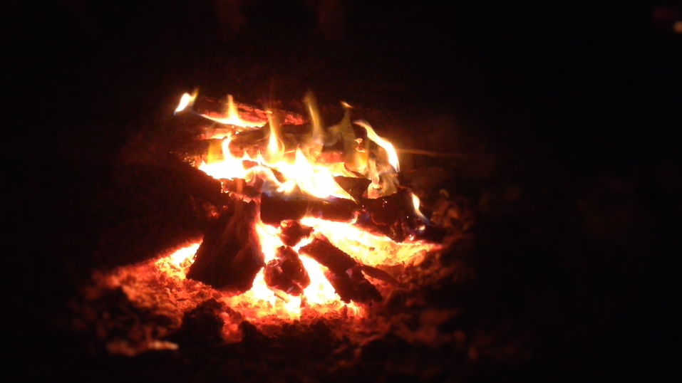 This Discovery Lit My Fire, Literally. DIY Fire Starters – Gippsland ...