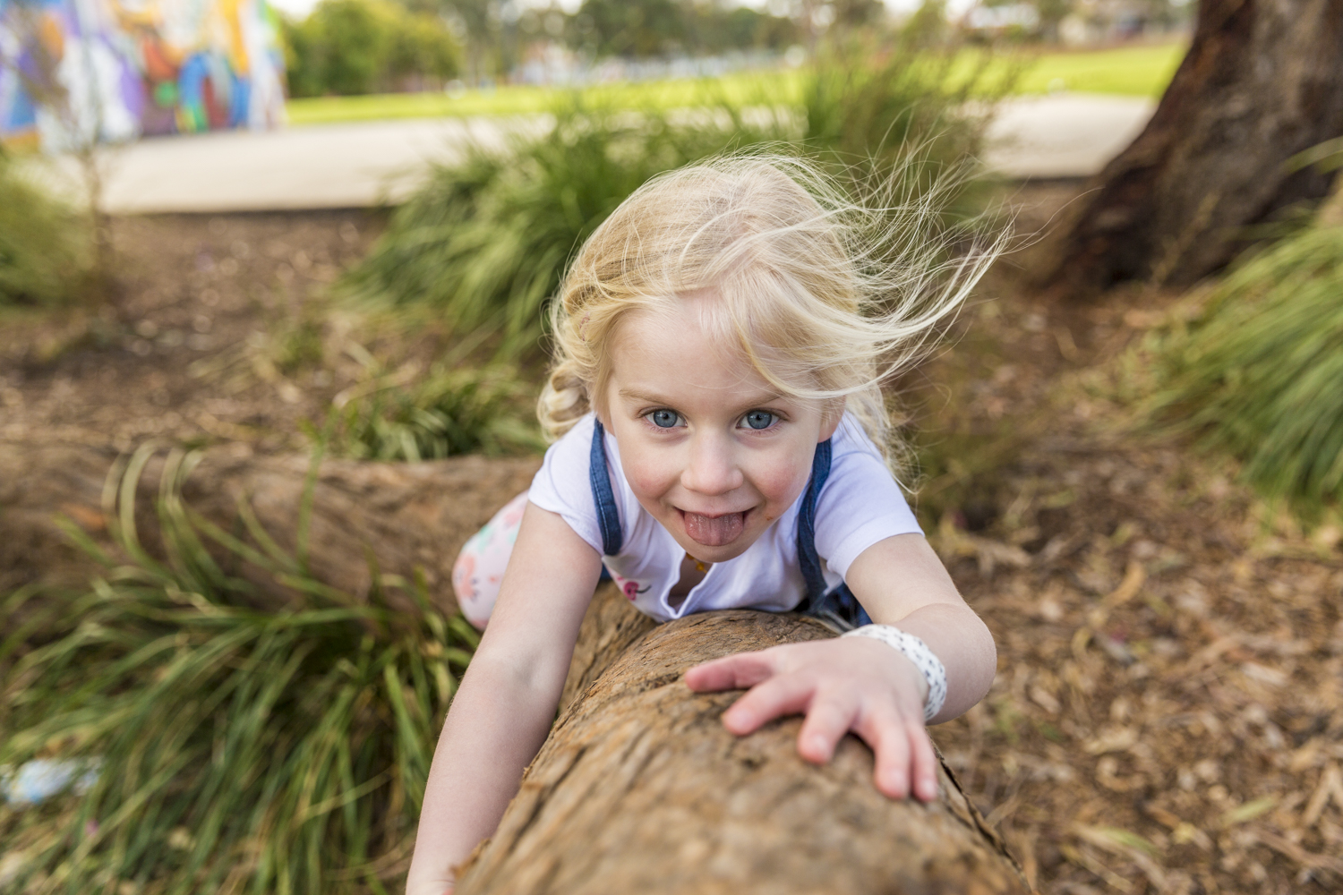 5 Ways My Low Waste Life Is Low Tox – Gippsland Unwrapped