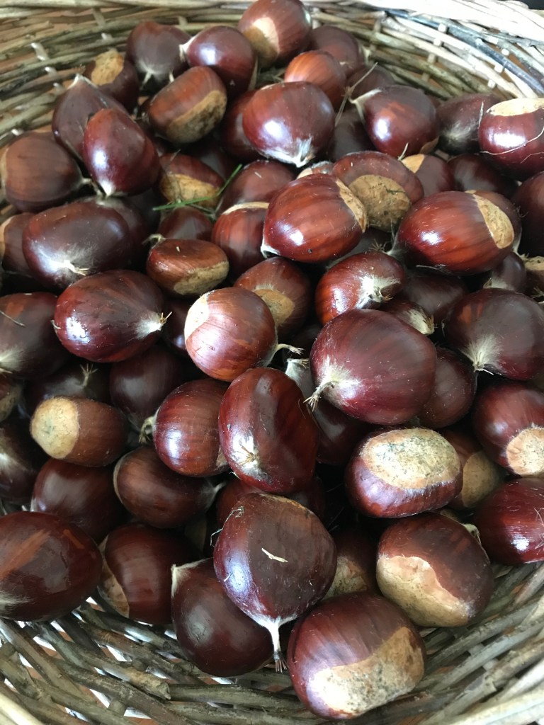 Horse Chestnut and Buckeye Laundry Soap – Gippsland Unwrapped